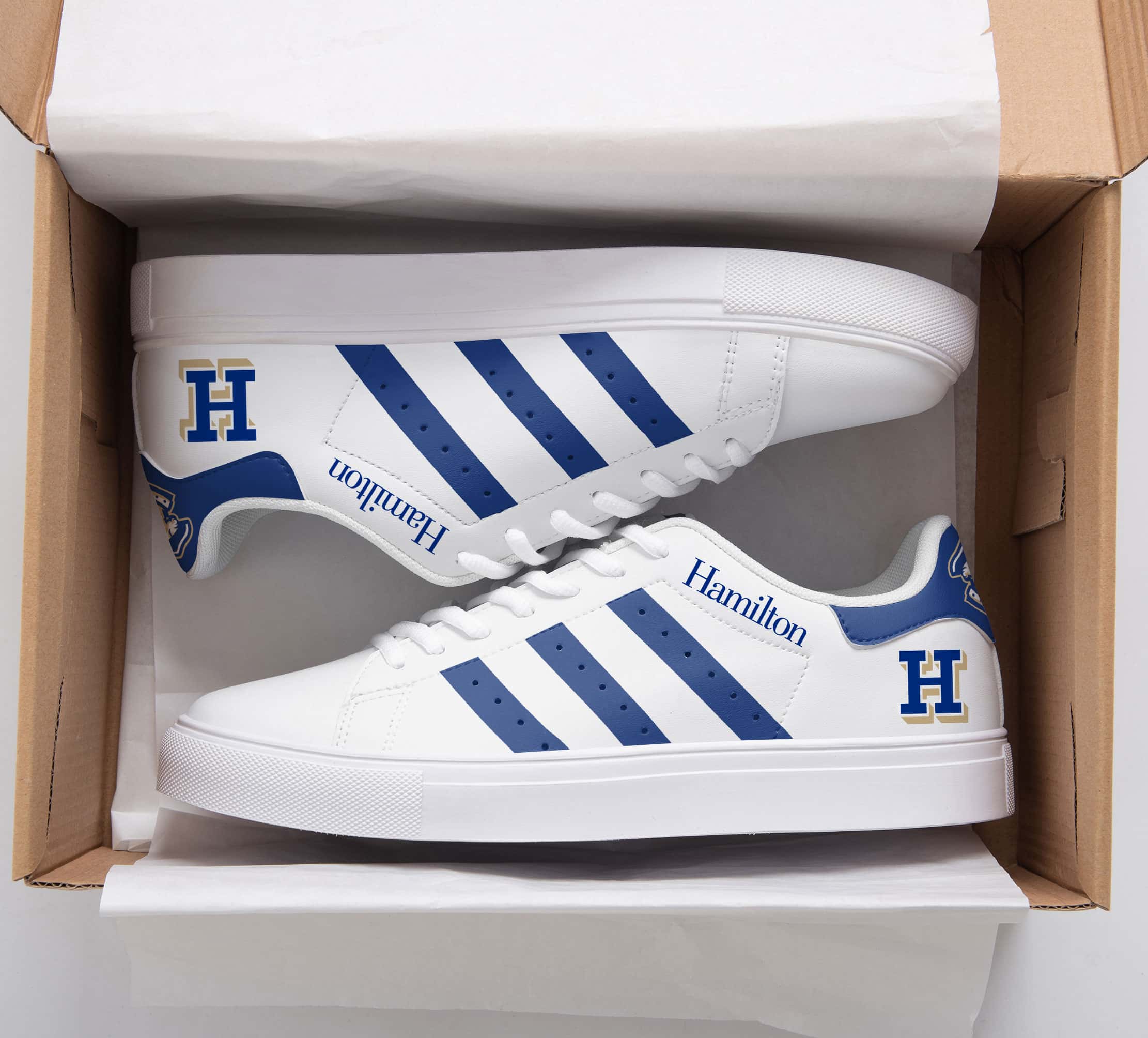 Hamilton College Skate New Shoes NT28 - Hanamango